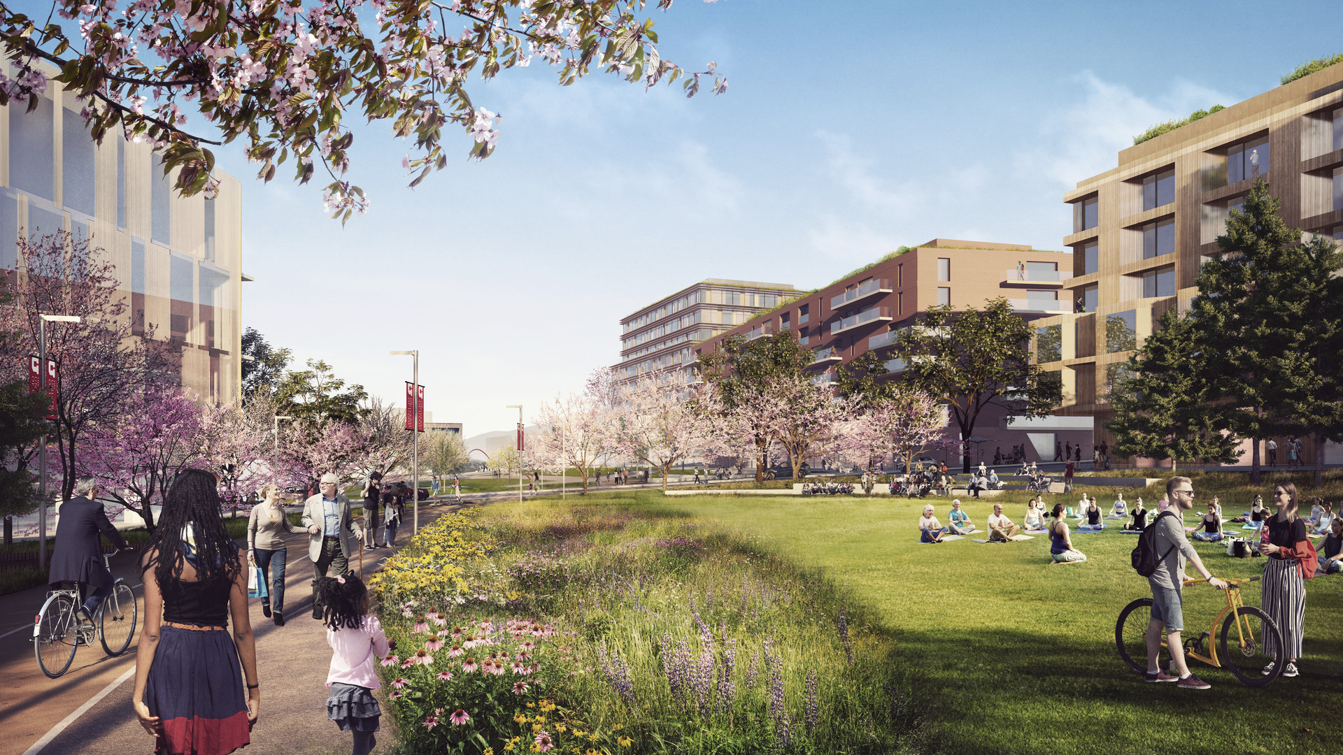 Destination UMED TDM Plan | Nelson\Nygaard Destination UMED TDM Plan | Nelson\Nygaard